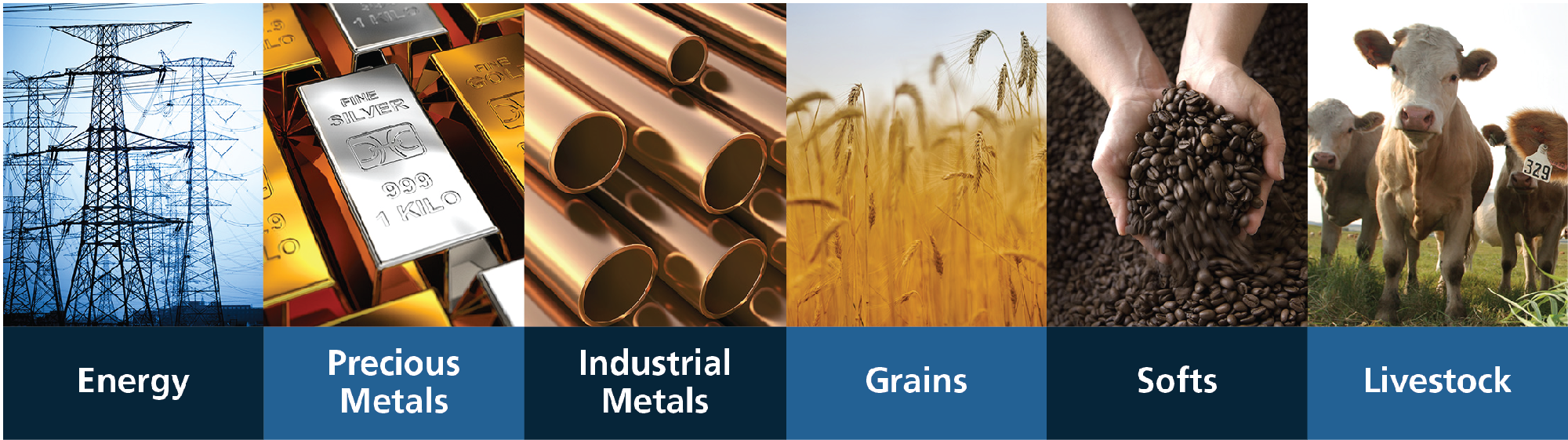 Official site of AMETHEUS