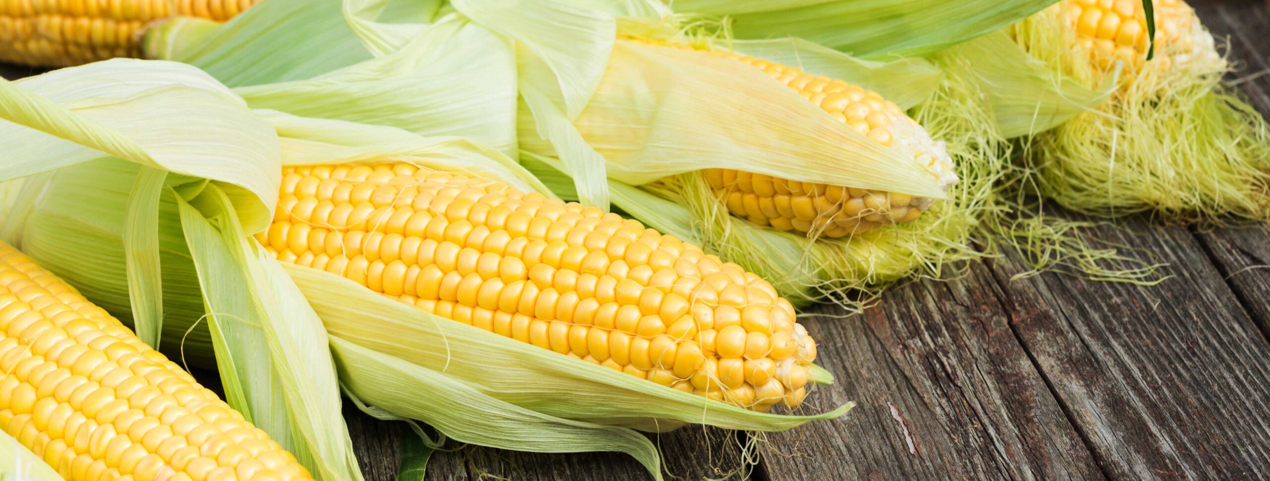 Official site of AMETHEUS