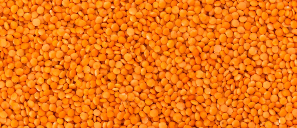 Red Lentils - Ametheus
